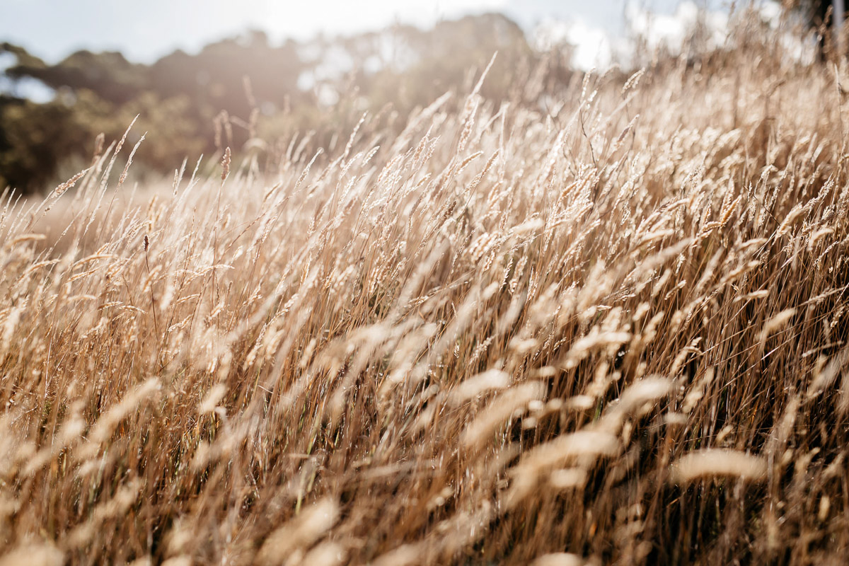 Real Wedding - Jacqui & Brendon, Beech Forest VIC - Ivory Tribe