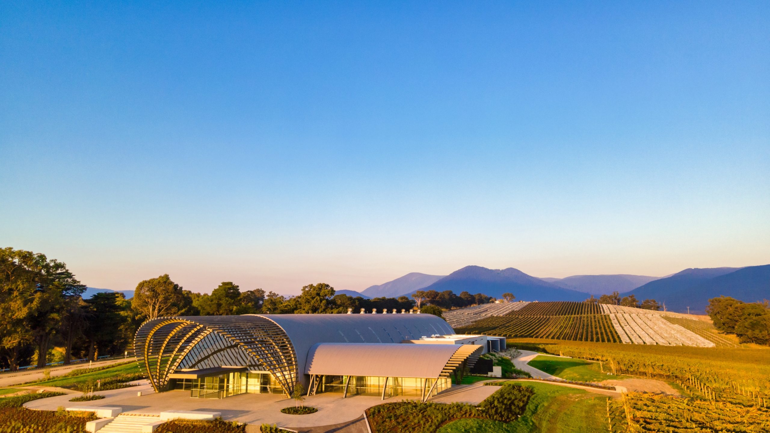 Levantine Hill Estate | Ivory Tribe
